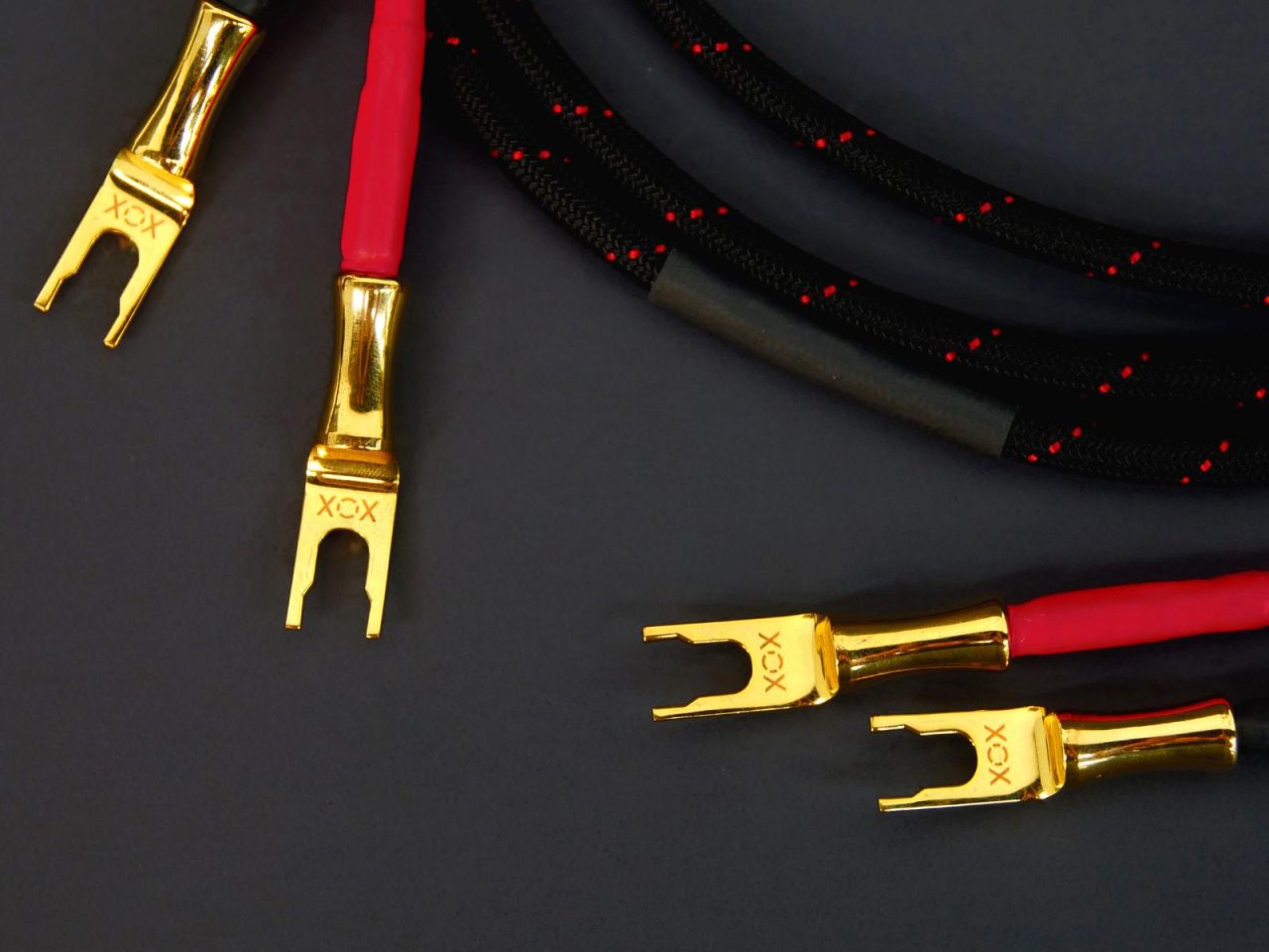 Timeless immersion in musical beauty - Black Cat Cable